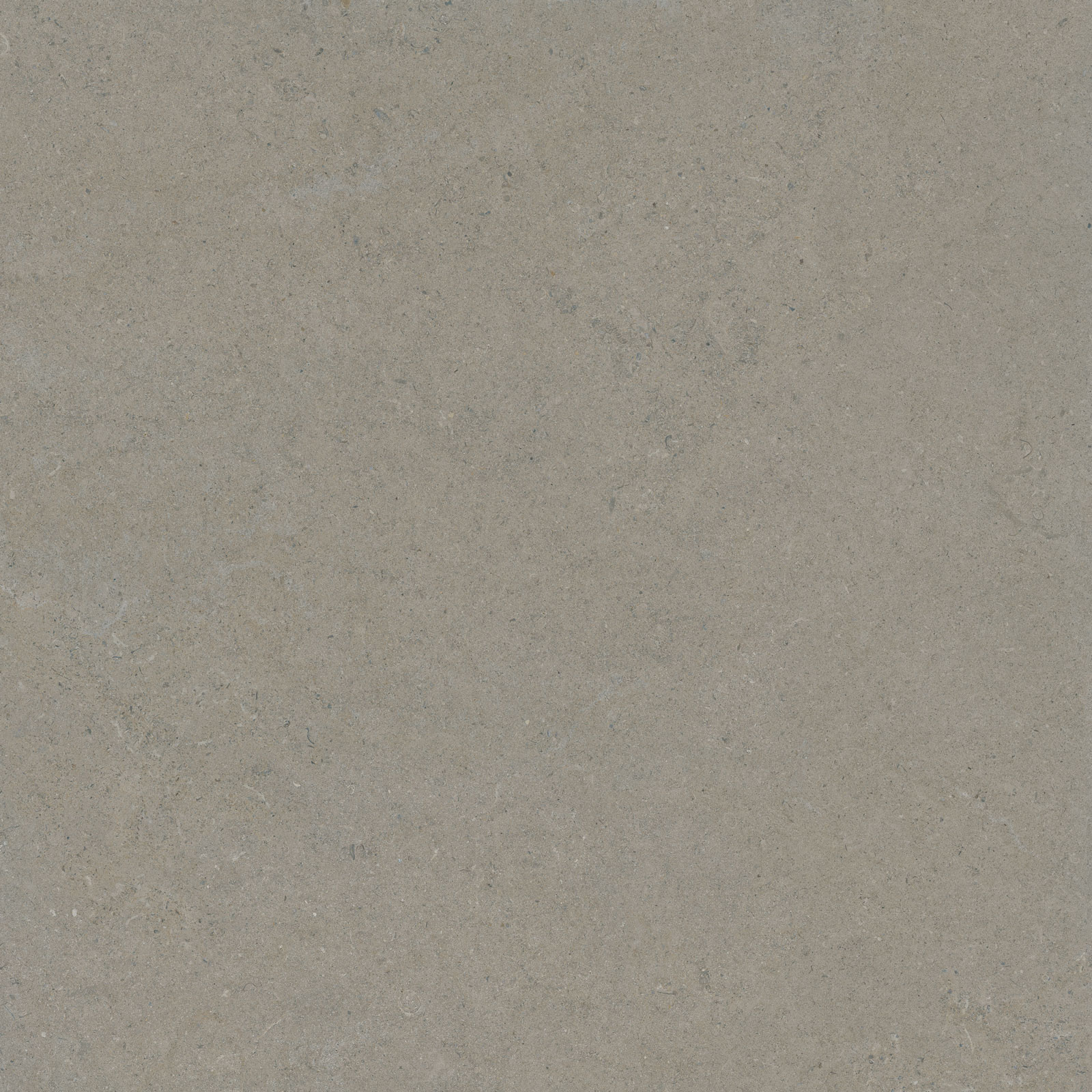 CALCARE – TAU cerámica